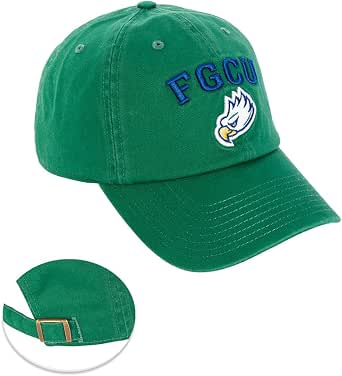 Amazon.com: Desert Cactus Florida Gulf Coast University Baseball Hat ...