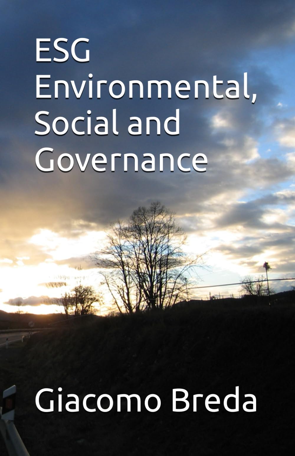 ESG Environmental, Social and Governance: a brief analysis on finance ...