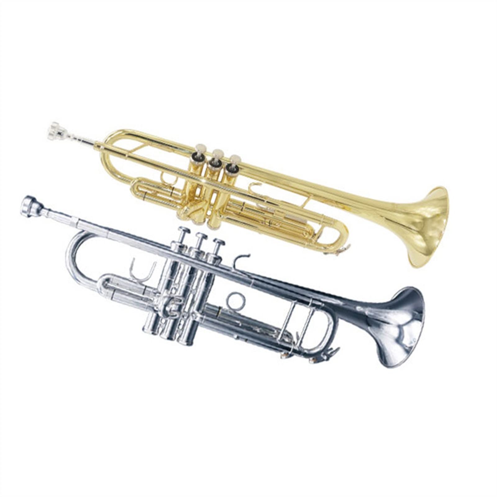 Silver And Gold Trumpet