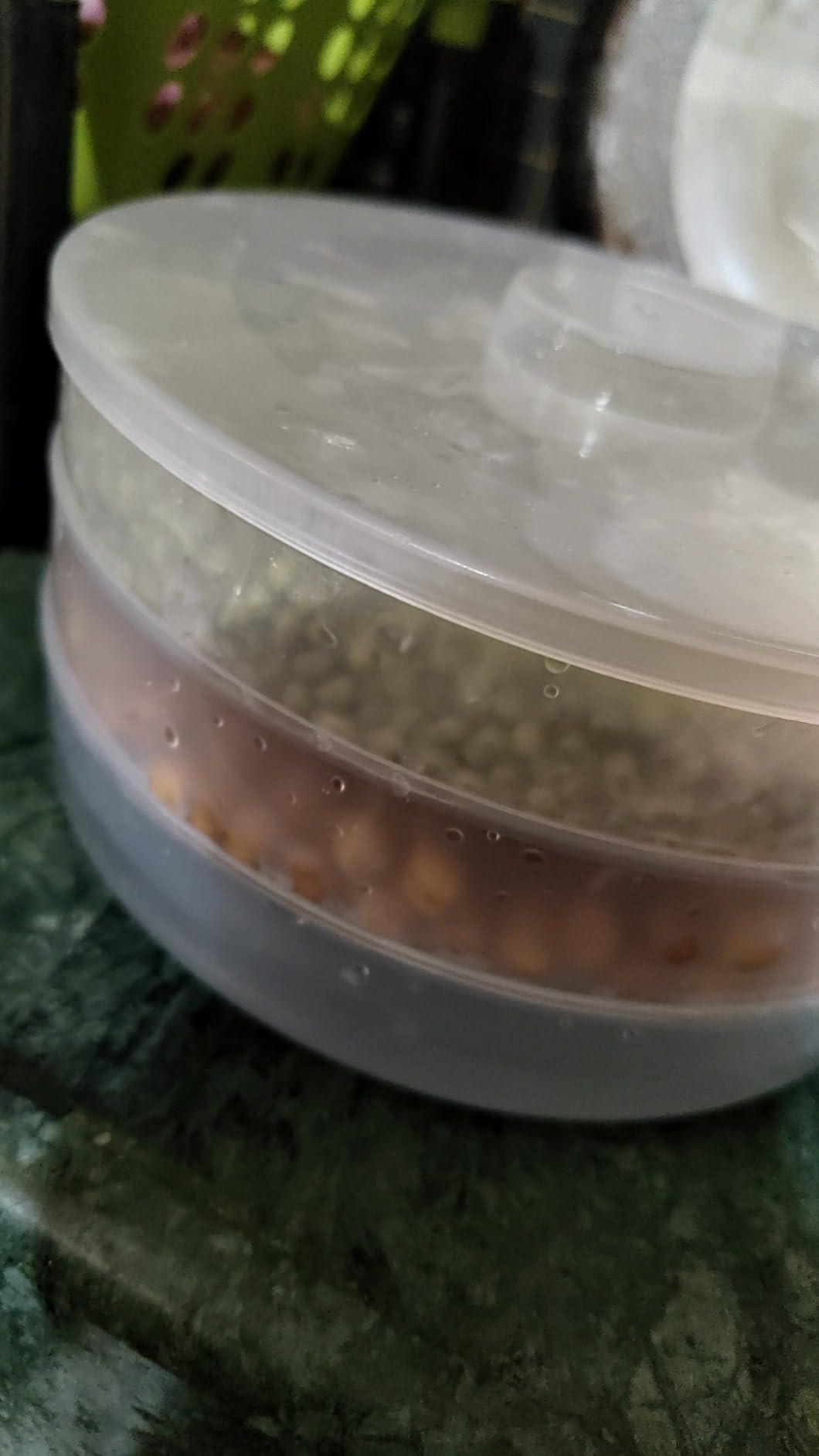 Buy Entisia 4 Container Sprout Bowl Maker - 1 Pcs Plastic Multipurpose ...