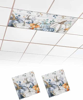 Decorative Fluorescent Light Covers for Ceiling Lights Classroom Light ...