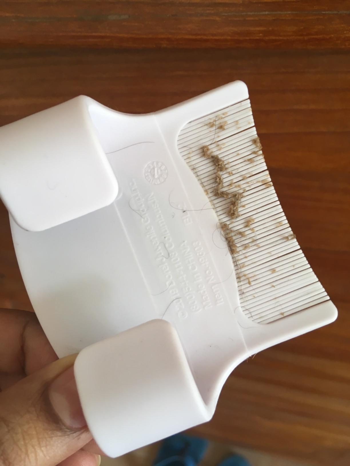 Buy Safety 1st Cradle Cap Brush and Comb Online at Low Prices in India ...
