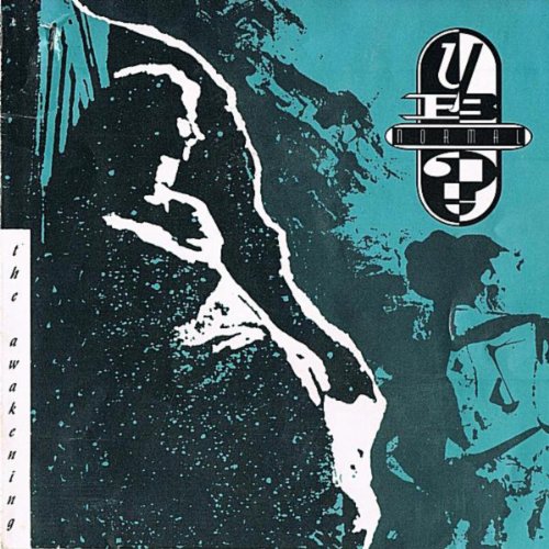 Play The Awakening by Y B Normal? on Amazon Music