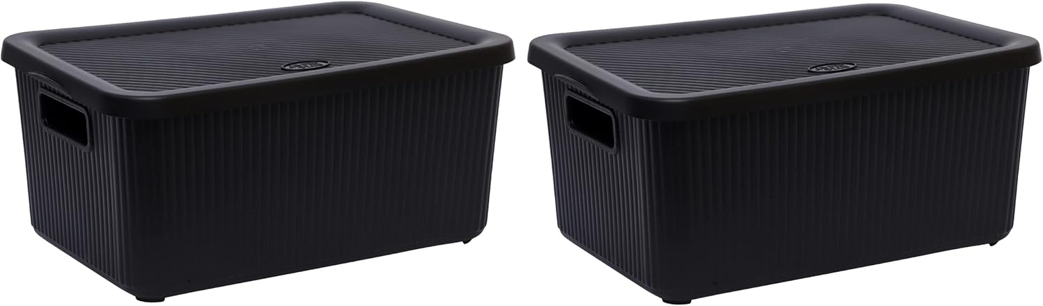 JMS we create smile (Set of 2 14L Litre Plastic Storage Box With Lid ...
