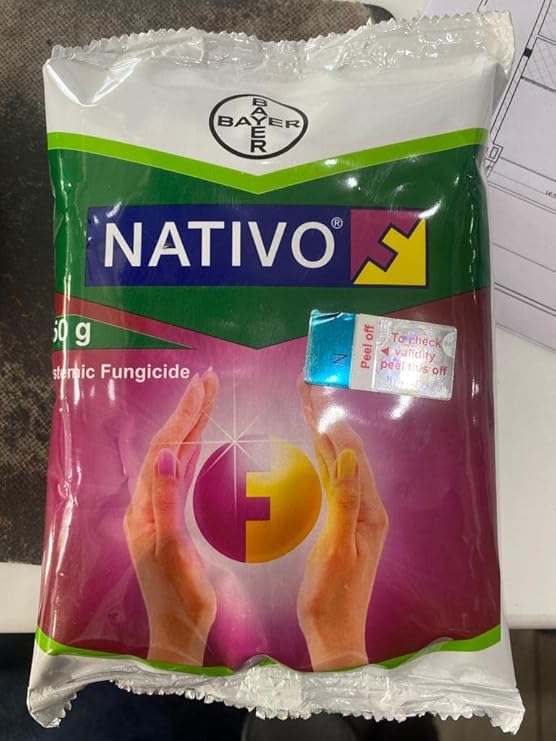 Bayer Nativo (Systemic Fungicide), 250g : Amazon.in: Garden & Outdoors