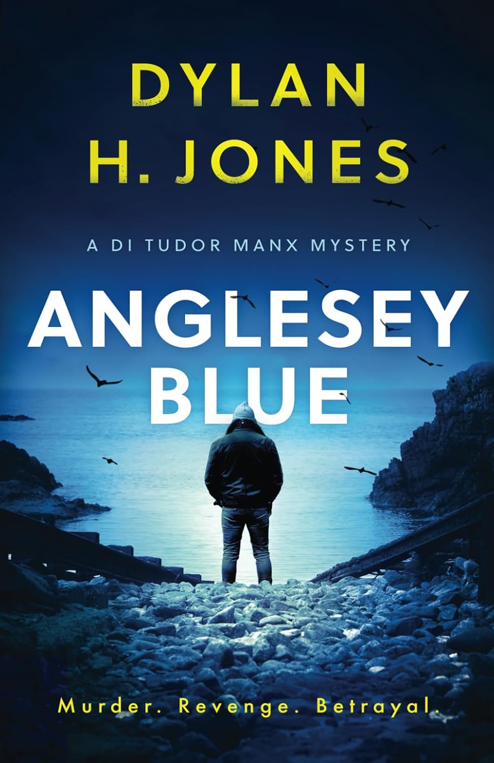 Anglesey Blue (DI Tudor Manx Crime Thrillers): Jones, Dylan H ...