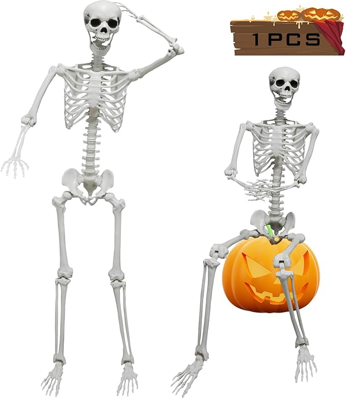 Amazon.com : DINESIL 6Ft/185cm Halloween Skeleton, Life Size Skeleton ...