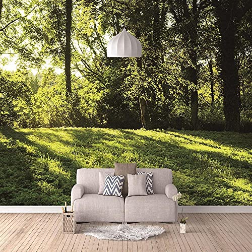 Bildschirmwand – Die 15 besten Produkte im Vergleich - WinTotal