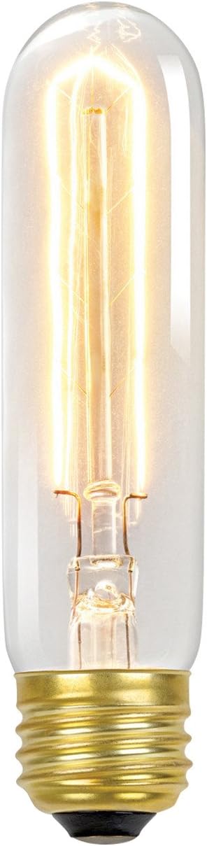 Globe Electric 01322 60W Vintage Edison T10 Radio Tube Incandescent ...