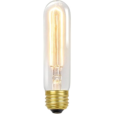 Globe Electric 01325 60W Vintage Edison A19 Quad Loop Incandescent ...