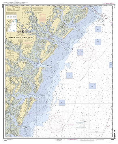 Amazon.com: Tybee Island to Doboy Sound -2012 - Blackbeard Island Isle ...