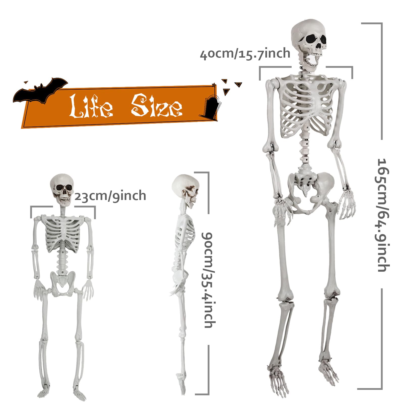 BADCOLOR Halloween Life Size Skeleton Adult (5' 4")& Child (3 ...