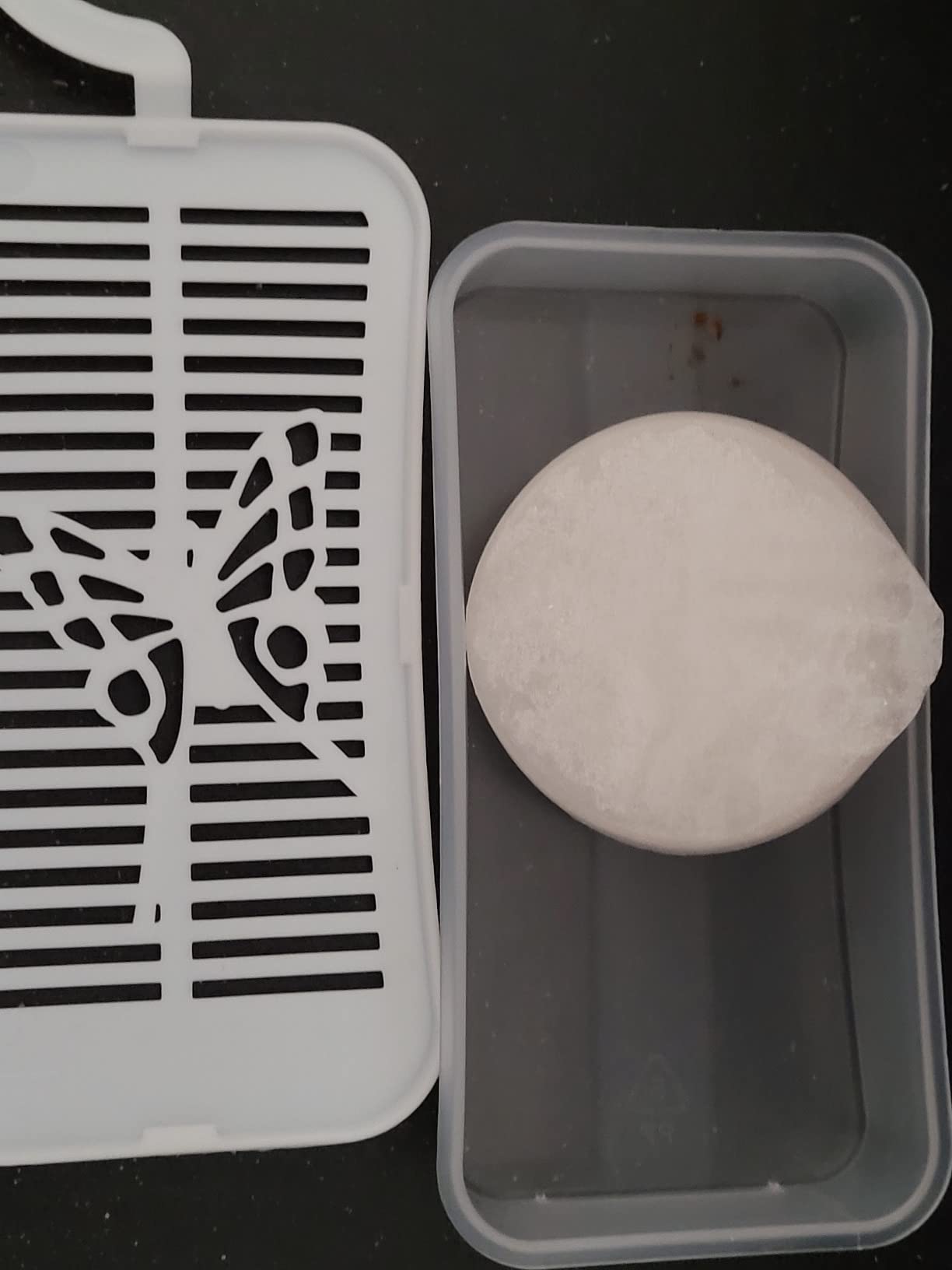 Amazon.com: Enoz Lavender Scented Moth Bar, Kills Clothes Moths, Carpet ...