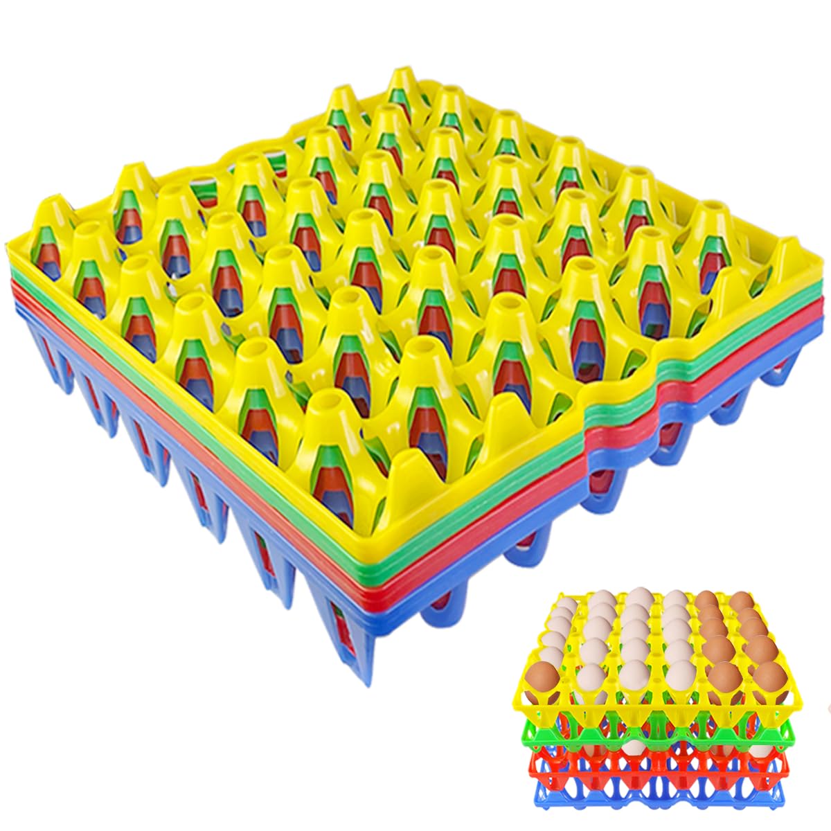 Amazon.com: 4 Pack Egg Tray Egg Crates,Bulk Egg Boxes,Holds 30 Eggs ...