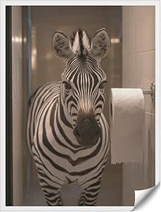 Amazon.com: RPSIRVFO Zebra Robe Canvas Wall Art Unframed Painting Zebra ...
