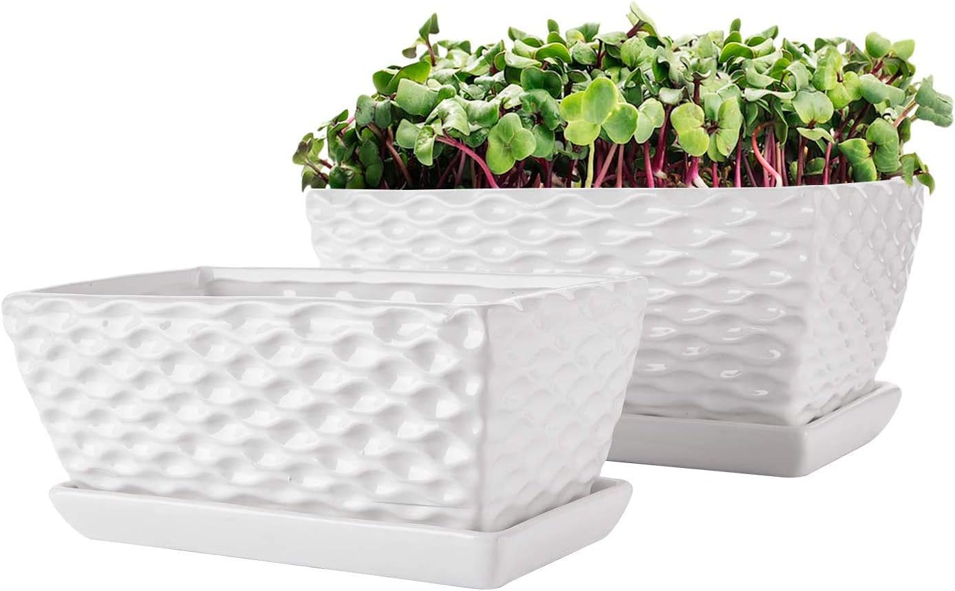 Amazon.com : WISH HALLY WOOD White Ceramic Succulent Planter Pots,2 Set ...