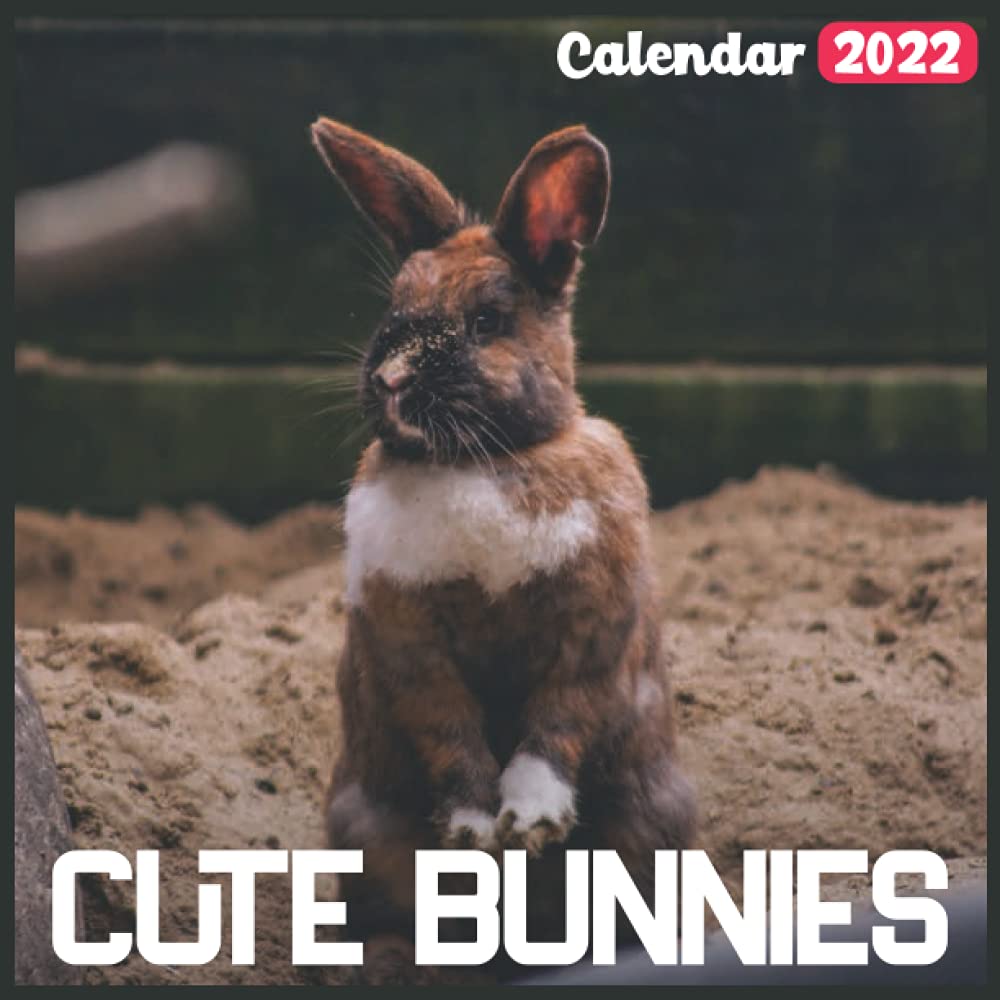 Buy Cute Bunnies 2022: Official Rabbits 2022, 18 Month Photo of Cute ...