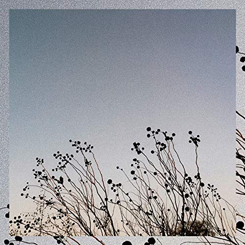 Amazon.com: What Now? : Charlie Schafer: Digital Music