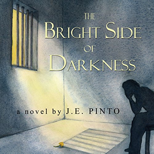 Amazon.com: The Bright Side of Darkness (Audible Audio Edition): J. E ...