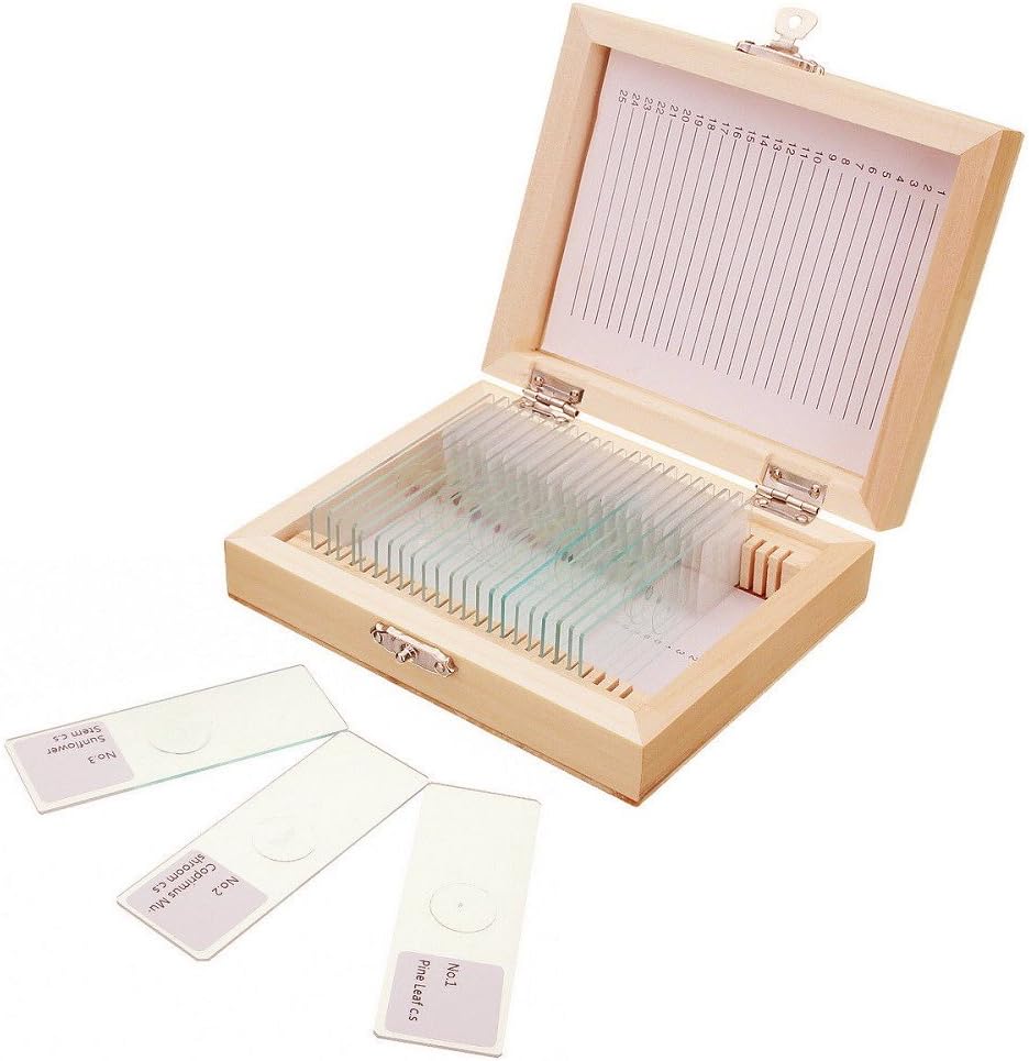 Amazon.com: Jiusion 25Pcs Prepared Microscope Slides Set with Fitted ...