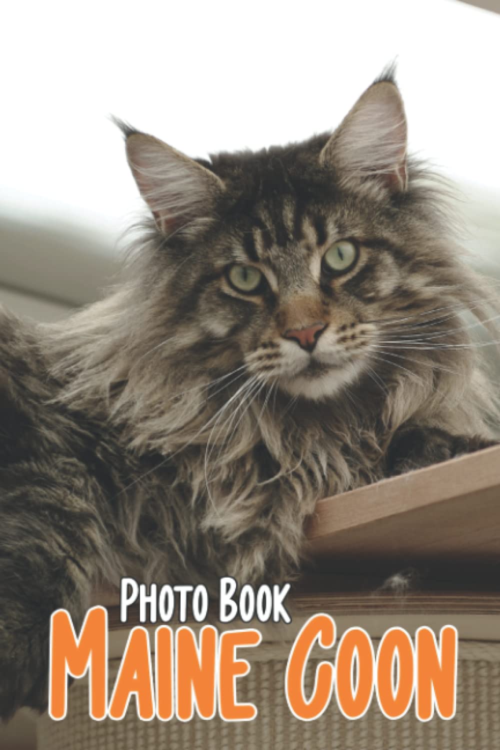 Buy Maine Coon Photo Book: Wonderful Coon Cat Images For Adults ...
