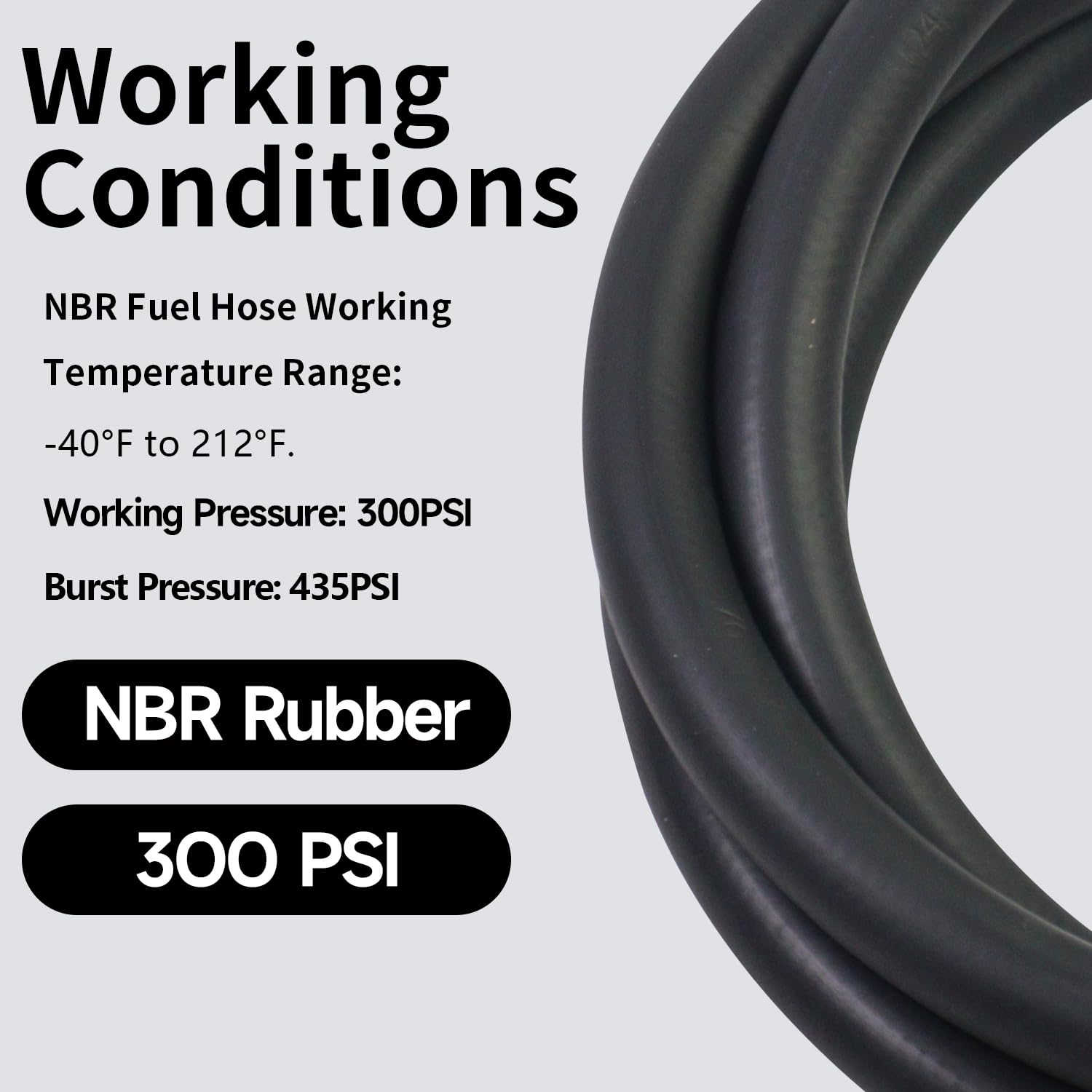 Fuel Transfer Pump 3/4 Inch 10FT Fuel Transfer Hose With NPT Fittings ...