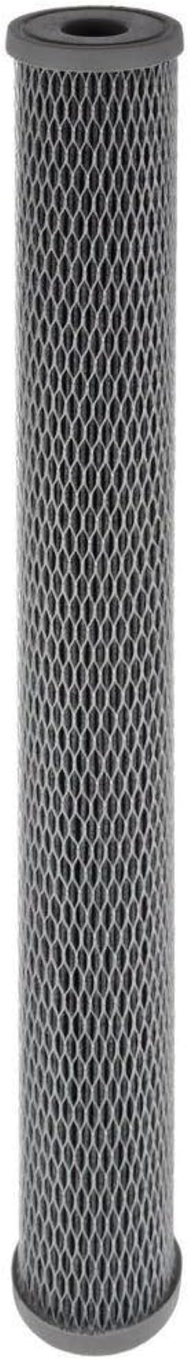 Snapklik.com : Pentair NCP-20 Carbon Water Filter, 20-Inch, Whole House ...