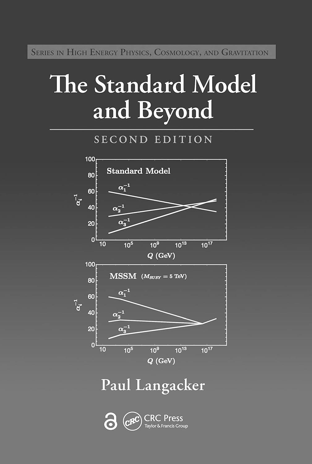 Buy The Standard Model And Beyond Book Online At Low Prices In India buy-the-standard-model-and-beyond-book-online-at-low-prices-in-india