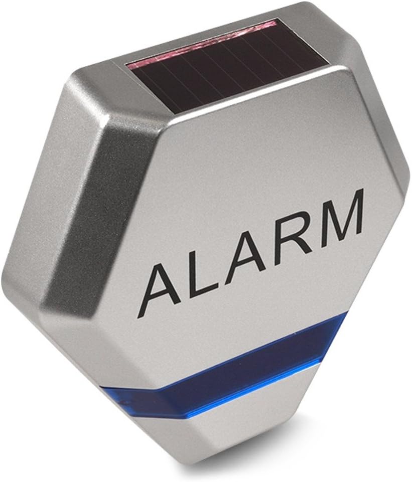 Decoy Dummy Intruder Burglar Alarm Bell Box with MAINS Flashing LED ...