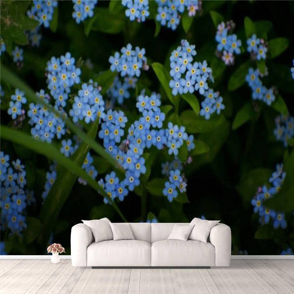Forget Me Not Flowers Wallpaper