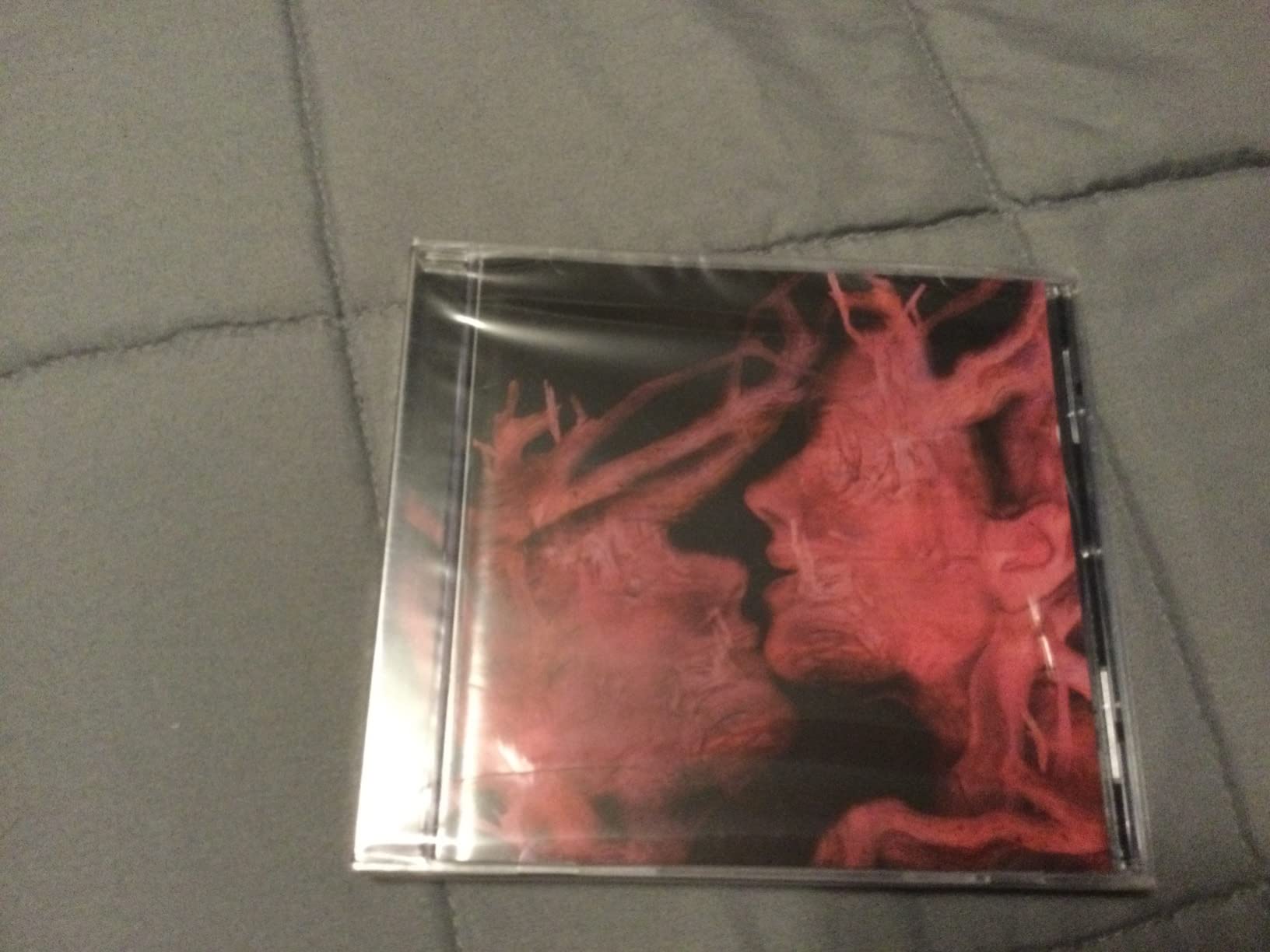 Seether - Disclaimer - Amazon.com Music