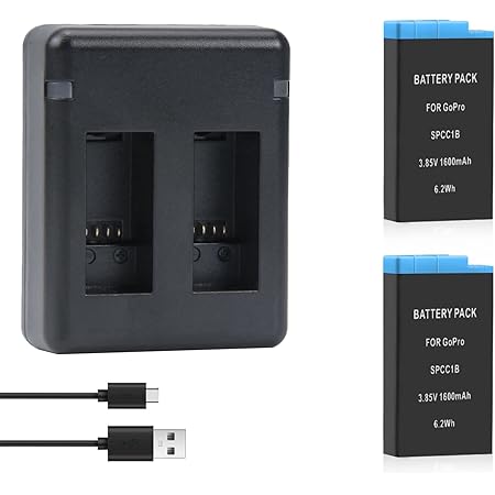 Amazon.com: REYTRIC Upgraded 2-Pack Batteries for GoPro Max 360 Camera ...