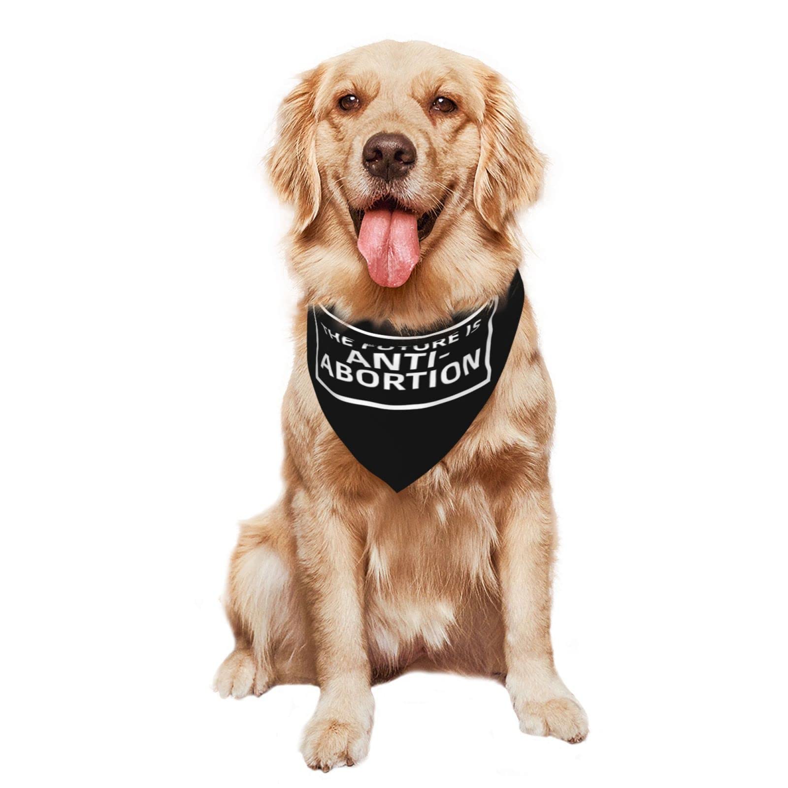 Can Dogs Have Abortions