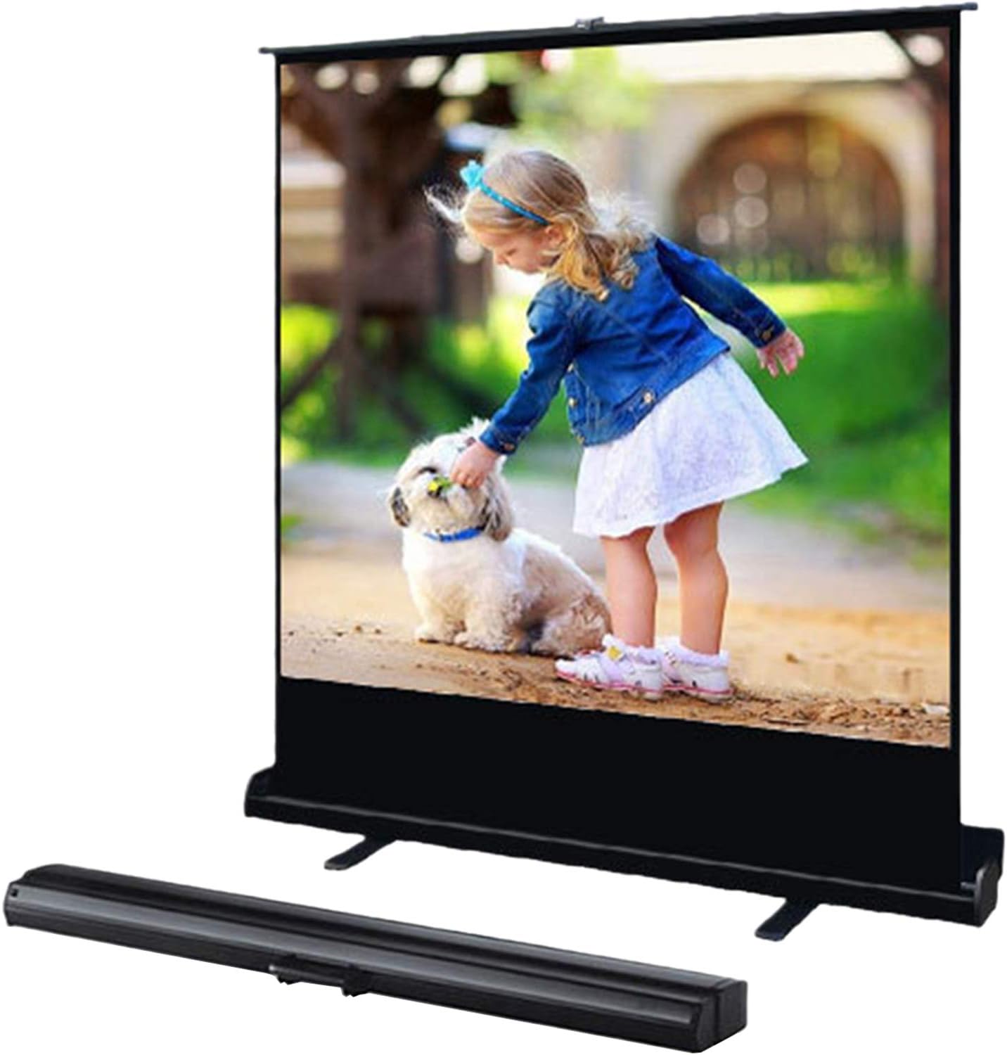 Amazon.com: 100 Inch 16:9 4K Pull Up Height Adjustable Projection ...