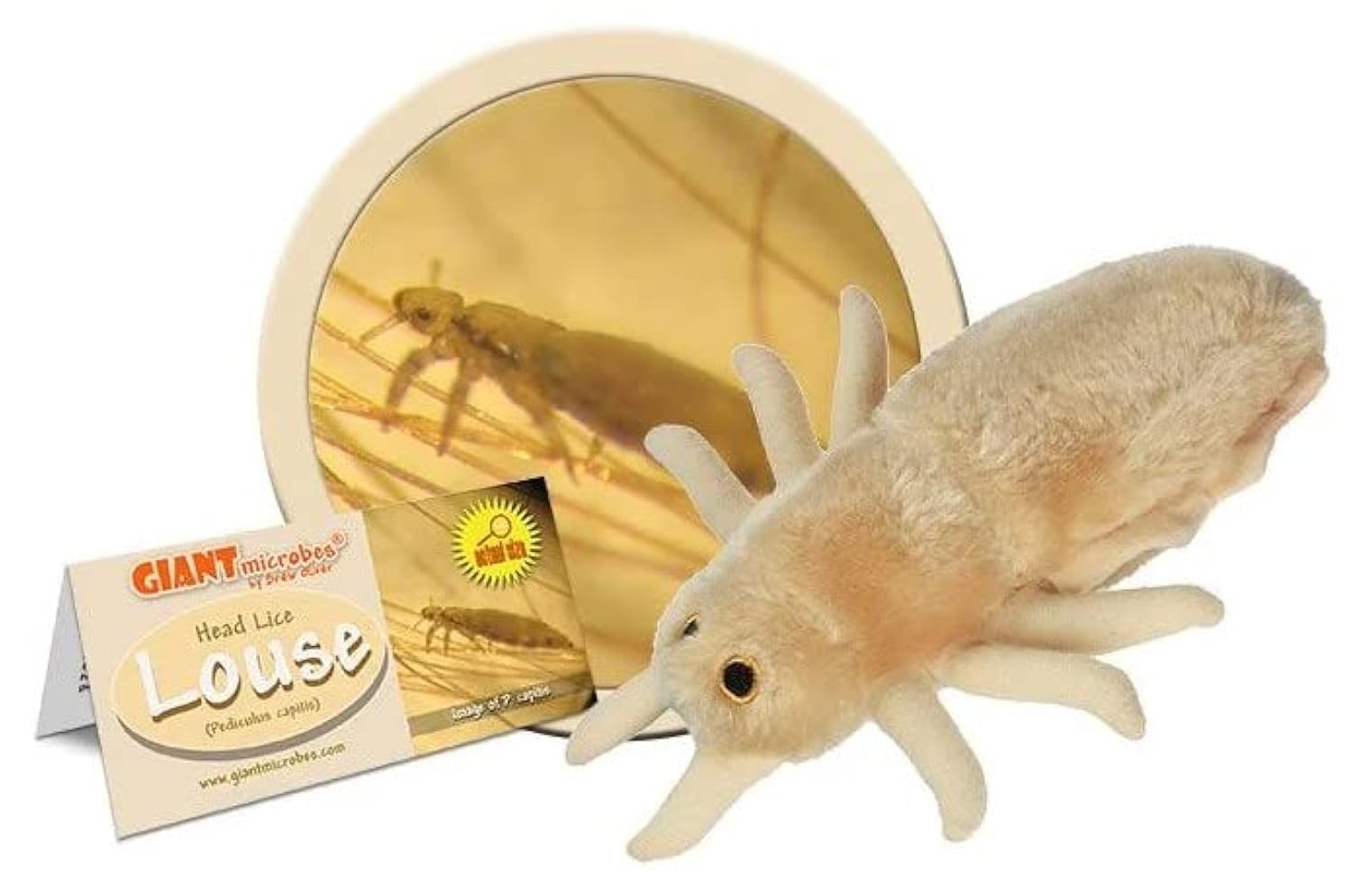 Amazon.com: Giant Microbes Louse Plush – Learn About Lice and How to ...
