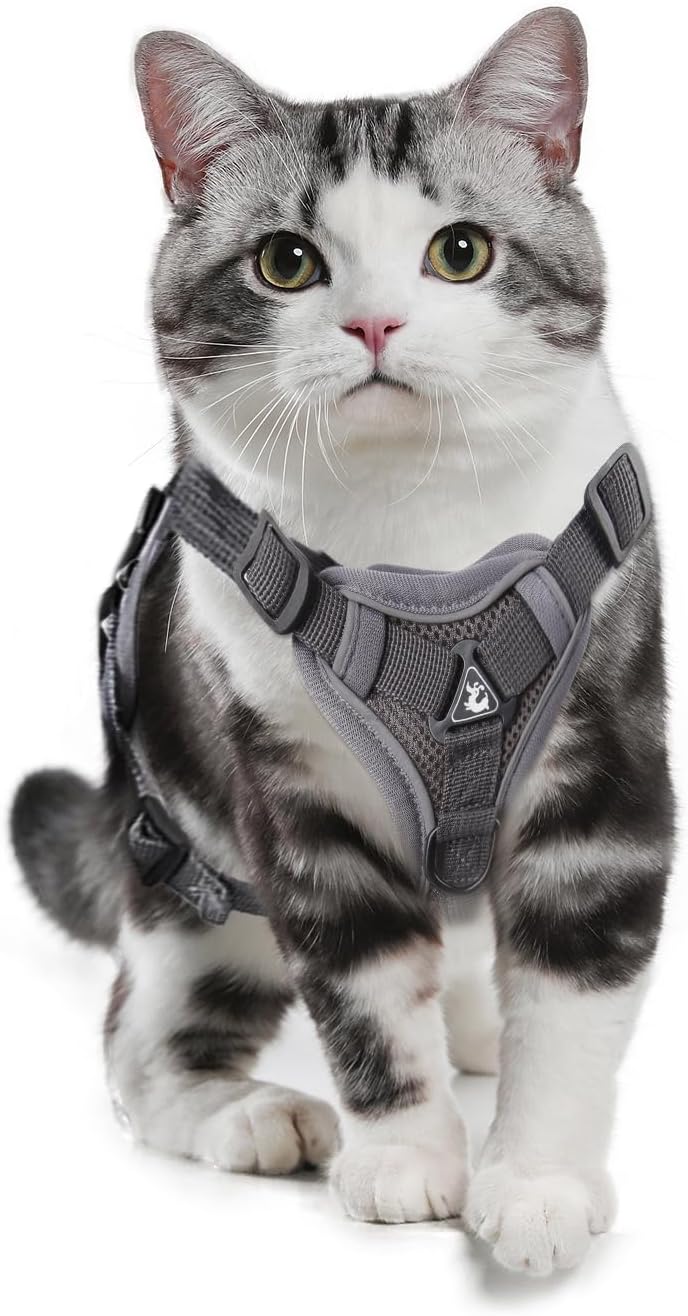 Amazon.com : shudyear Second Generation Adjustable Cat Chest Carrier ...