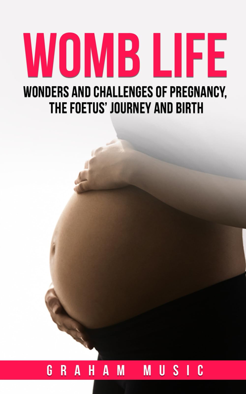 Womb Life: Wonders and challenges of pregnancy, the foetus' journey and ...
