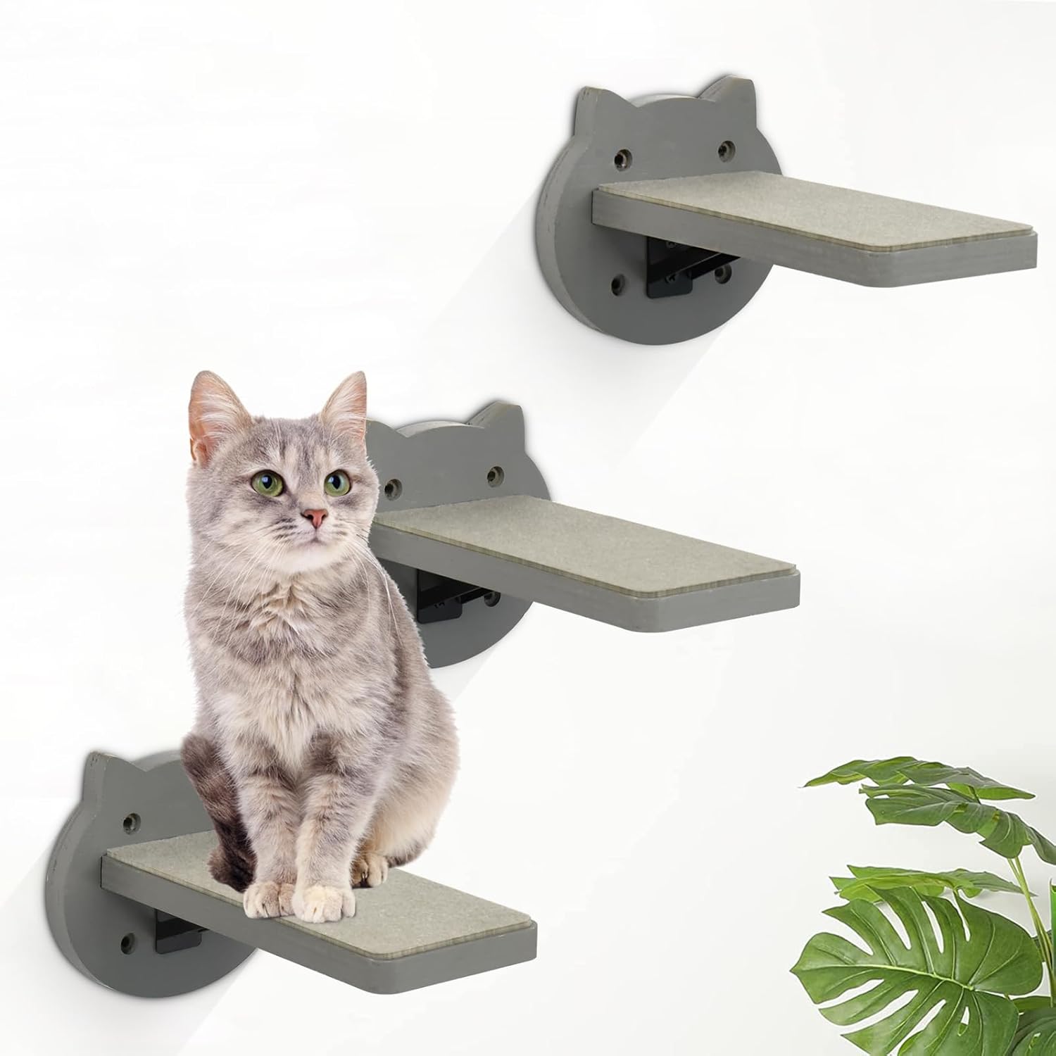 Amazon.com : 3-Packs Cat Climbing Shelves Wall Mounted, Cat Wall Steps ...