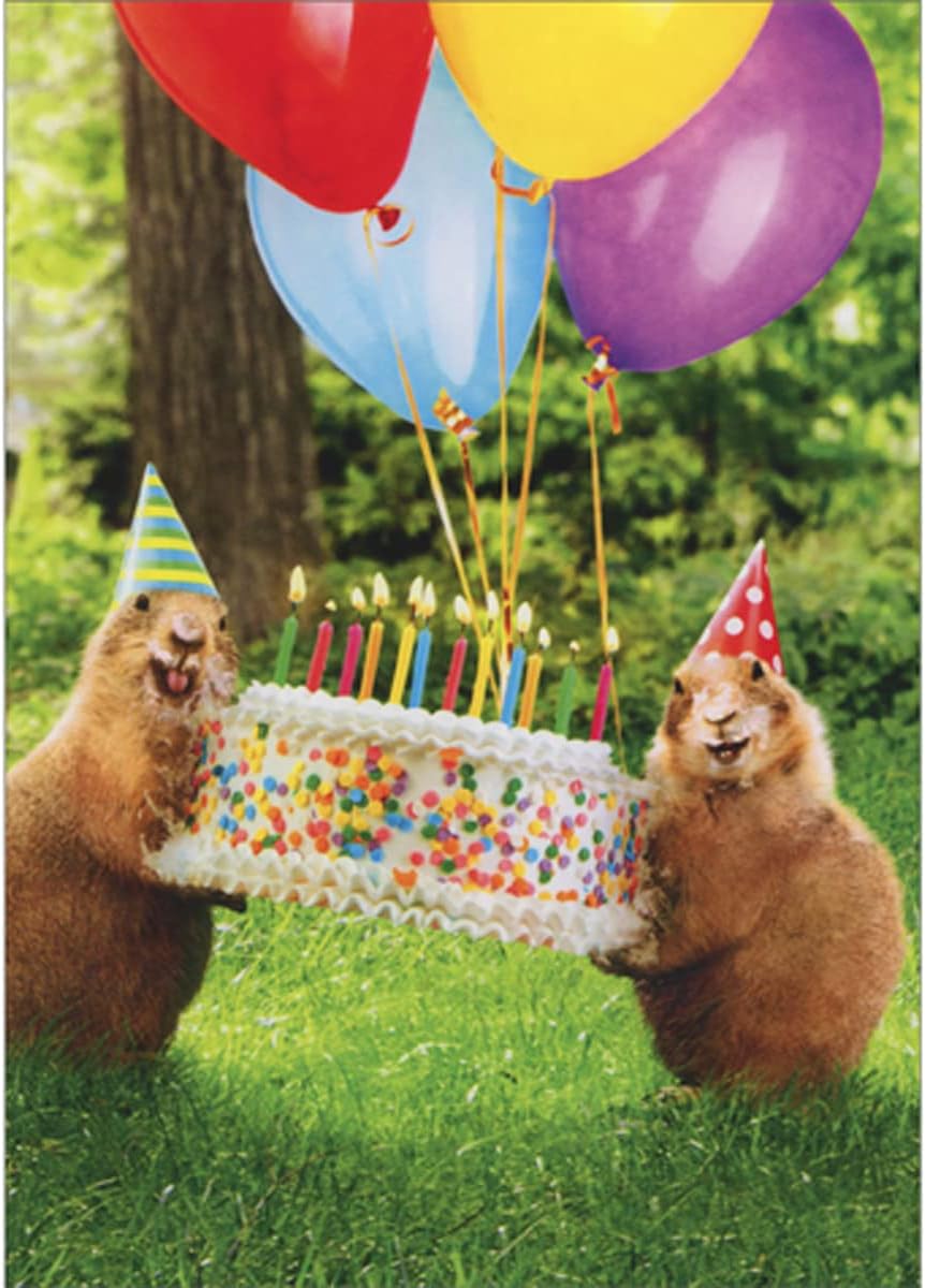 Amazon.com : Avanti Press Chipmunk Carrying Lit Striped Candles ...