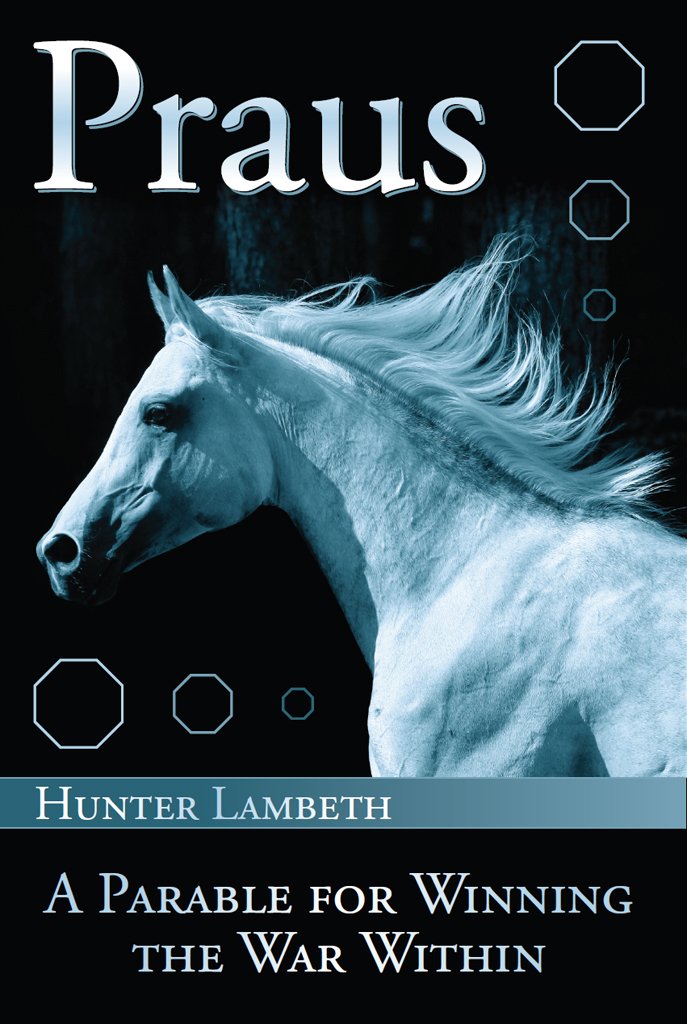 Buy Praus: A Parable for Winning the War Within Online at desertcartINDIA