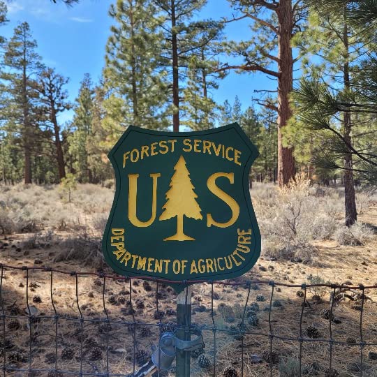 Amazon.com: US Forest Service Wood carved sign Active : Home & Kitchen
