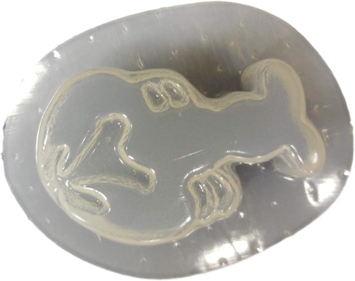 Amazon.com: Qty-2 Crawfish Lobster Plastic Craft Mold use with Soap for ...