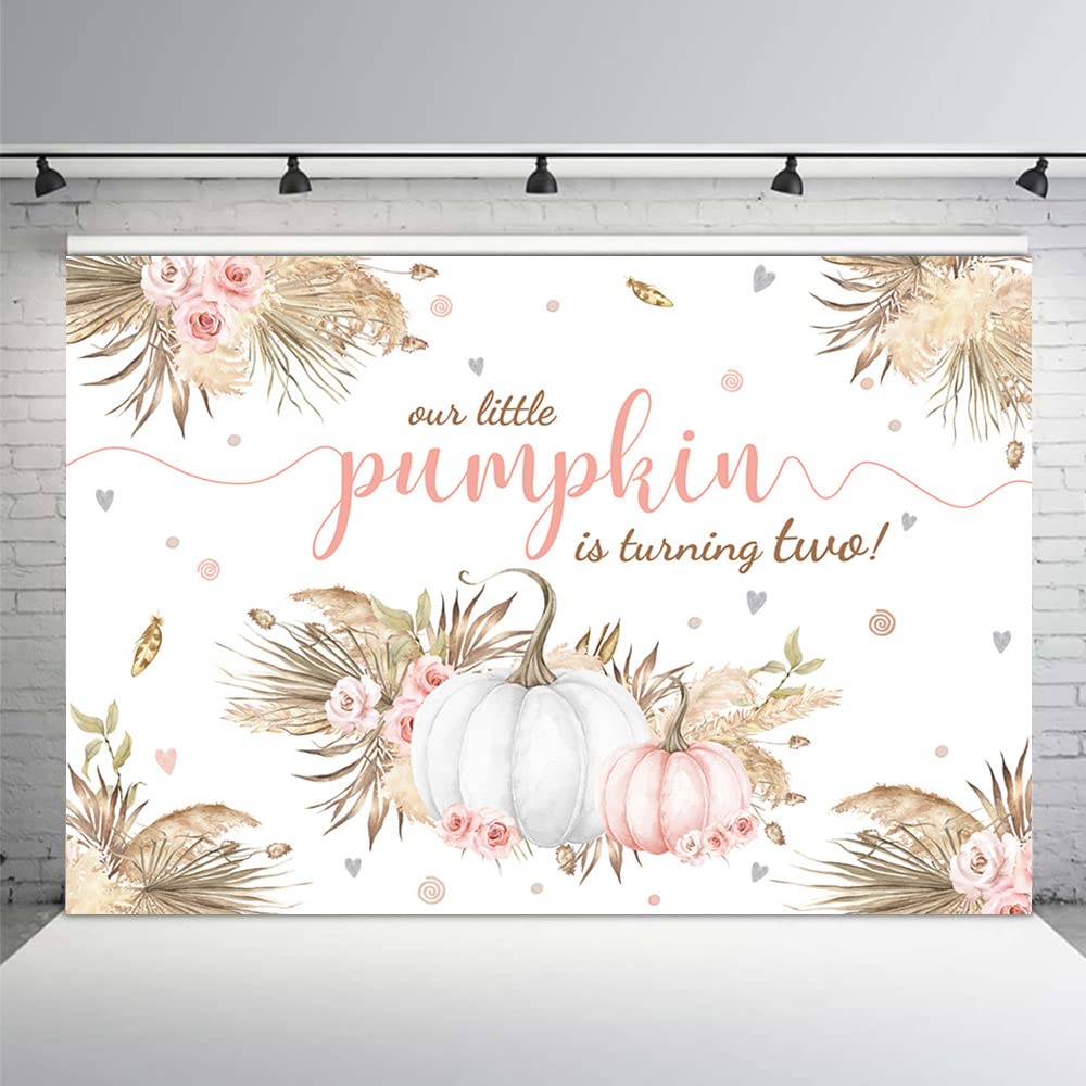 Amazon.com : MEHOFOND 7x5ft Fall Pumpkin 2nd Birthday Backdrop Boho ...