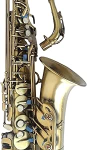 Amazon.com: E-flat Alto Saxophone Antique Double-rib Reinforcement One ...
