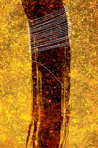 Buy Maxwell Dickson 'Ambitious Thread' Modern Canvas Wall Art-24"x36 ...