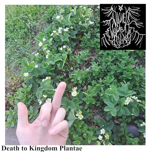 Écouter death to kingdom plantae par wicked wombat sur Amazon Music ...