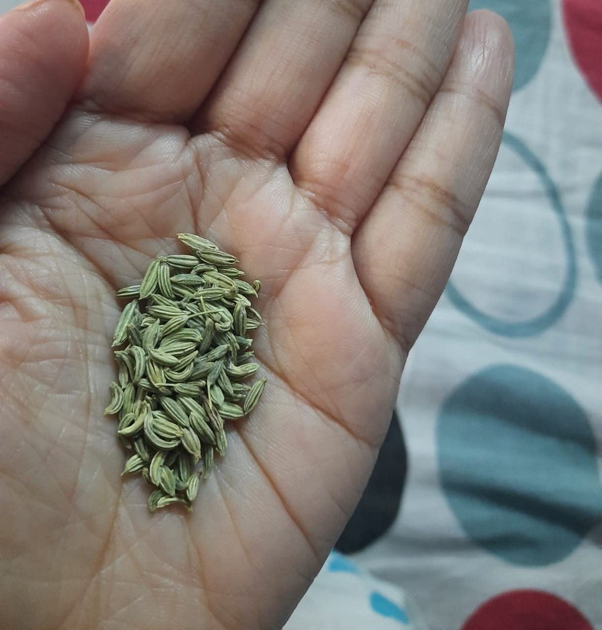 JK Sounf, 250g | Flavorful Fennel Seeds | Variyali | 100% Natural ...