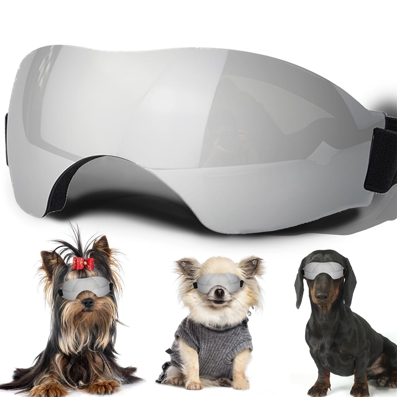 Amazon.com : Small Dog Sunglasses, Dog Goggles with Adjustable Strap UV ...