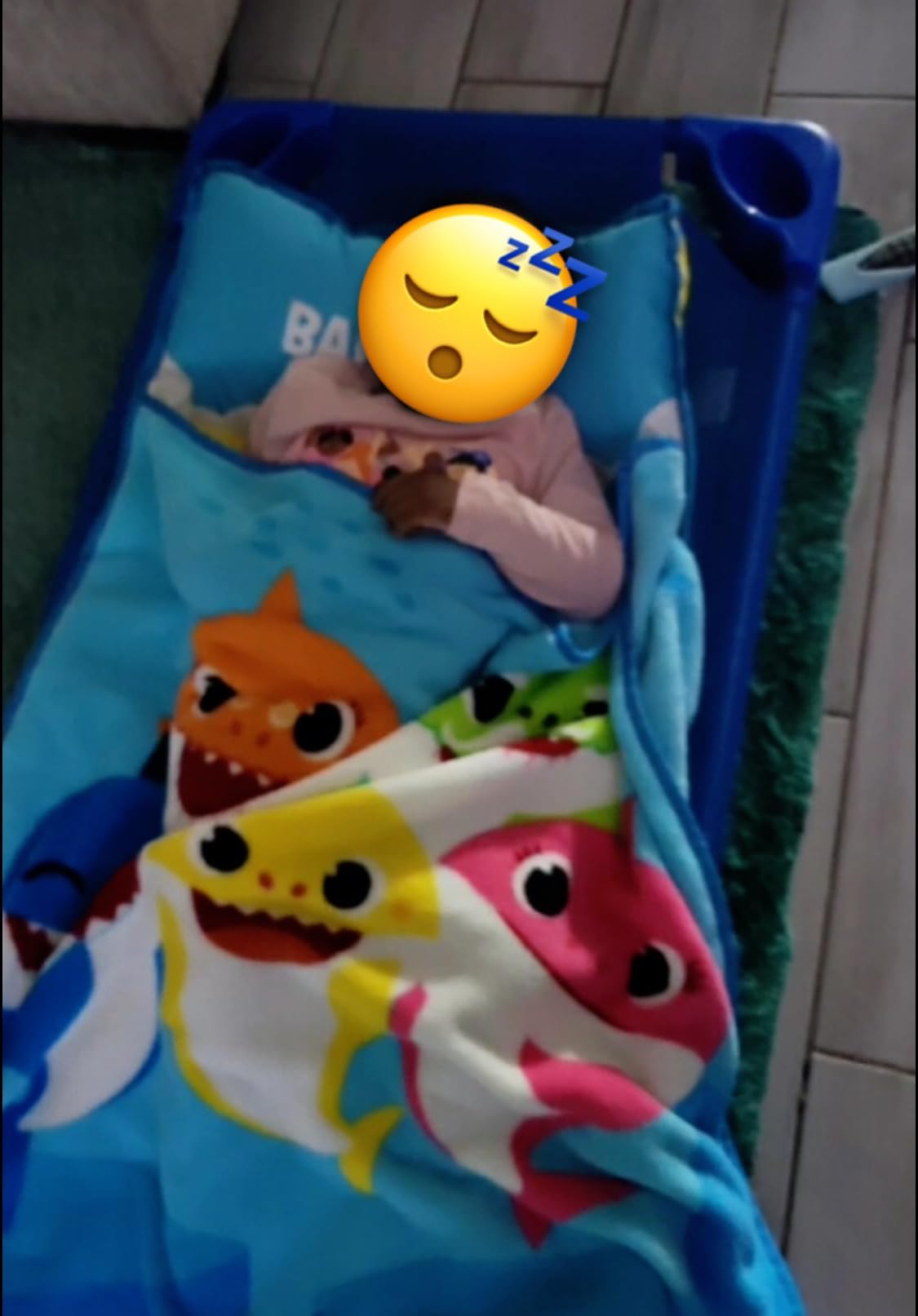 Amazon.com: Baby Shark Toddler Nap-Mat - Includes Pillow and Plush ...