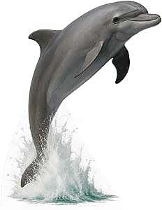 Amazon.com: Dolphin Cutout – Life-Size Realistic Marine Animal Standee ...